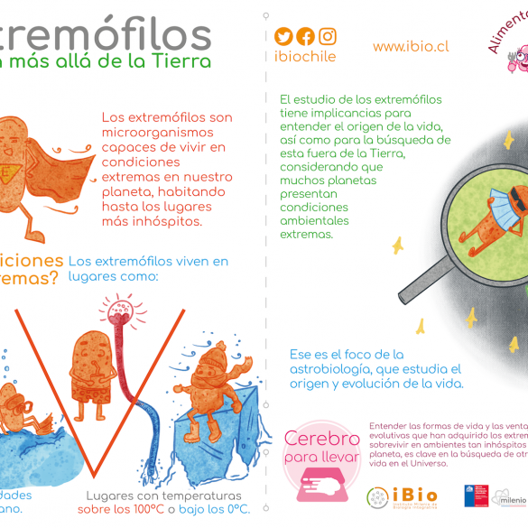Micoorganismos Extremófilos – iBio